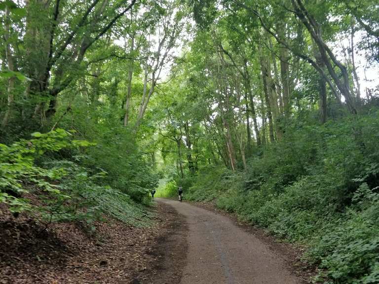 10 trilhas de Mountain Bike imperdíveis em torno de St Albans | komoot