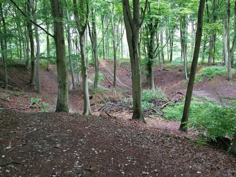 Top 10 Most Beautiful MTB Trails around Chiltern | Komoot