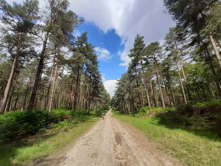 Top 10 Bike Rides and Cycling Routes around Surrey Heath | Komoot