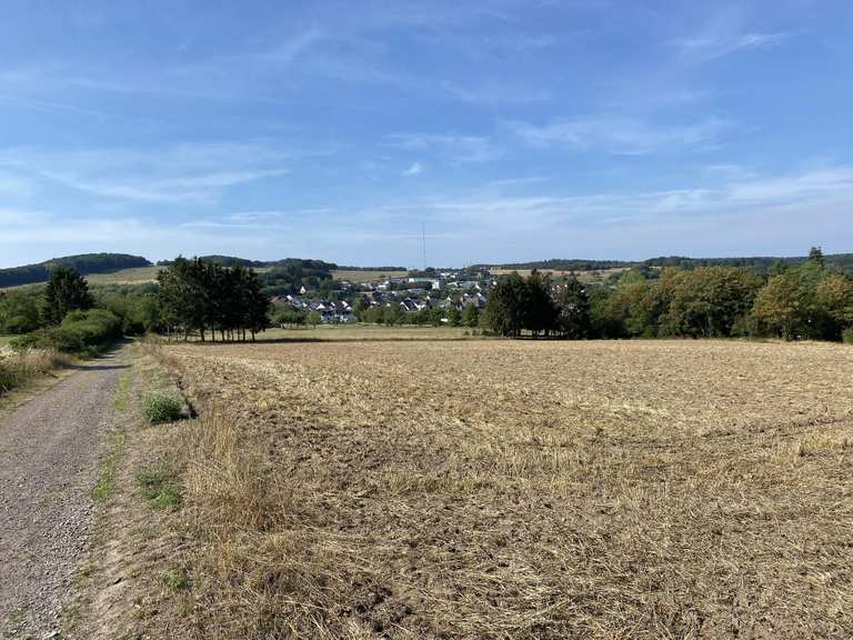 Die schönsten Wanderungen rund um Waldesch | Komoot