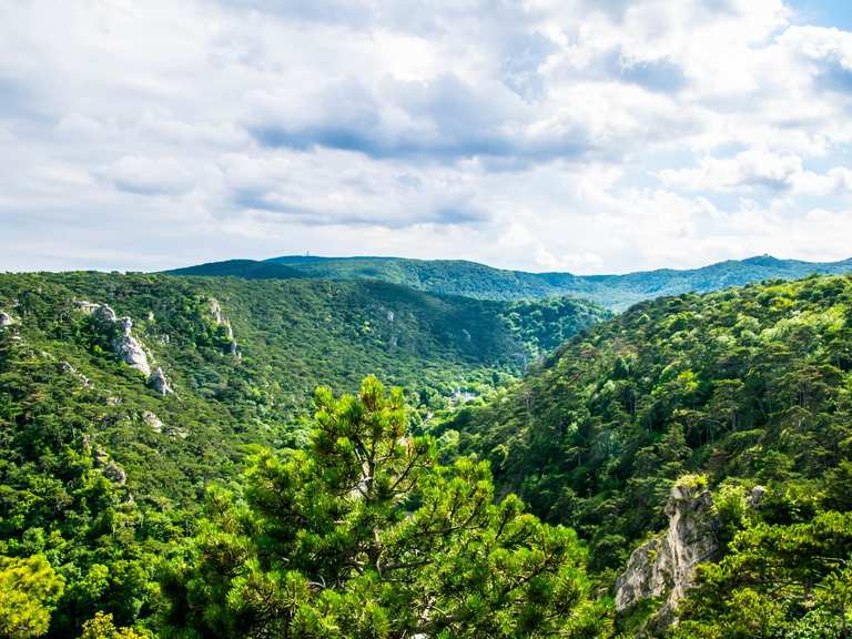 Die 10 schönsten Wanderungen im Wienerwald | Komoot