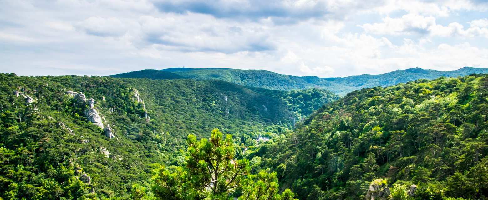 Die 10 schönsten Wanderungen im Wienerwald | Komoot