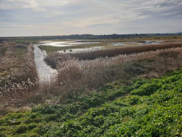 Top 10 Most Beautiful MTB Trails around King'S Lynn And West Norfolk ...