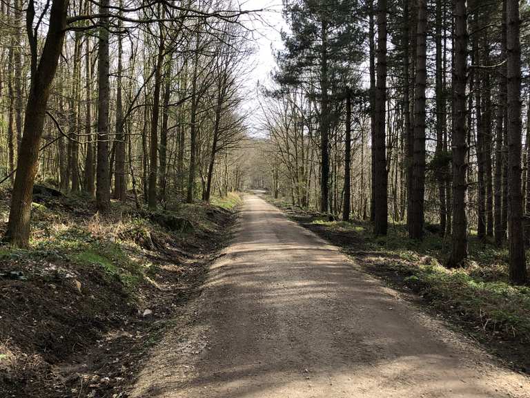 Top 10 Most Beautiful MTB Trails around Barnsley | Komoot
