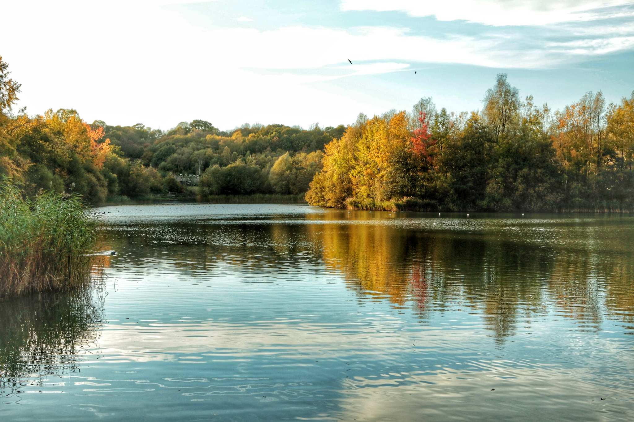 Top 20 Hikes and Walks around Horsham | Komoot