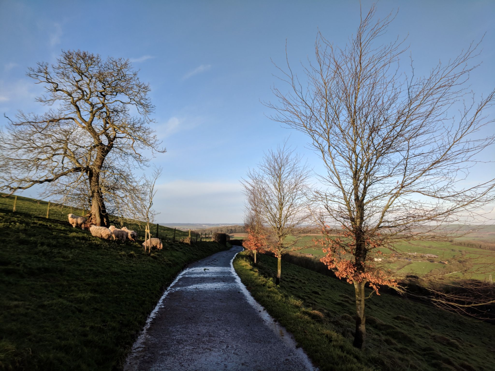 Top 10 Bike Rides and Cycling Routes around Exeter | Komoot