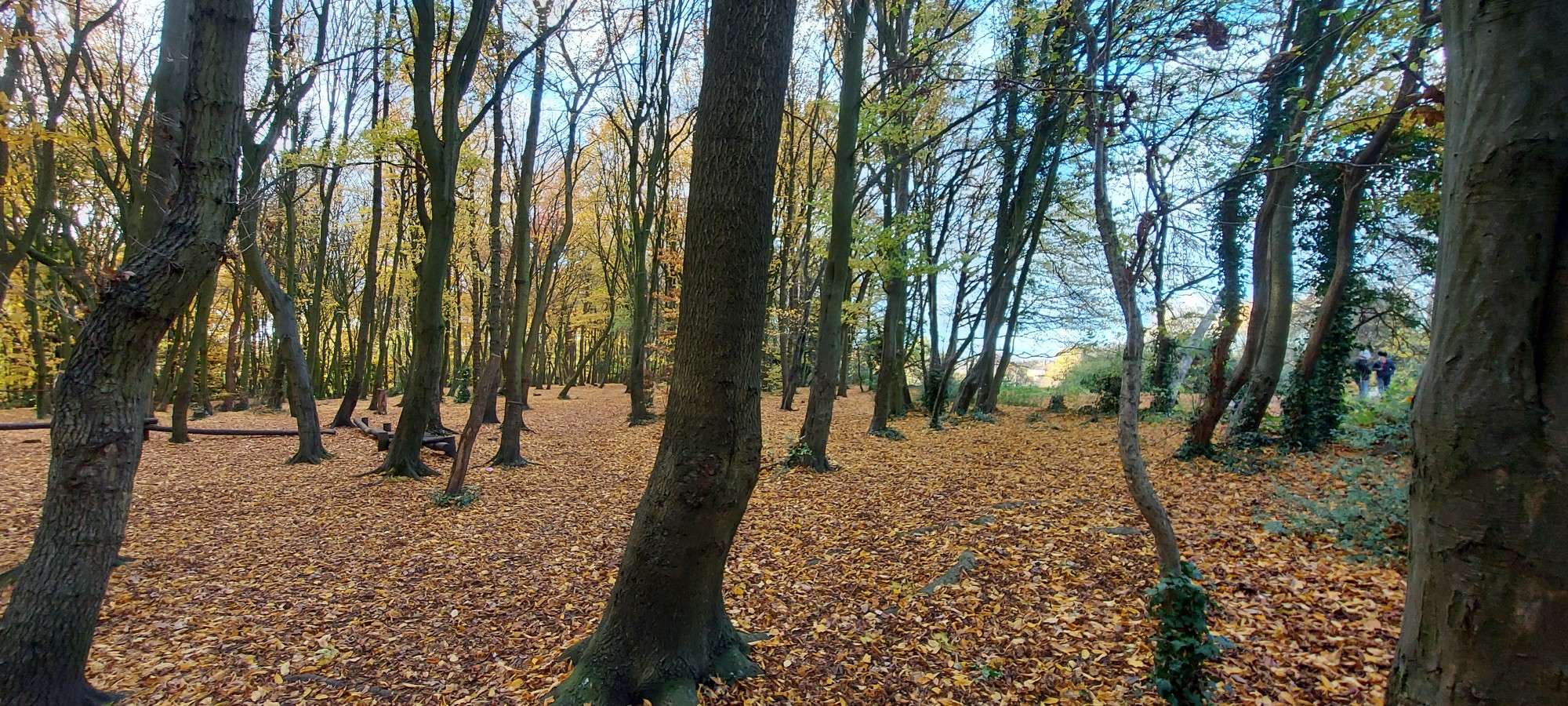 Top 10 Hikes and Walks around Cheltenham | Komoot