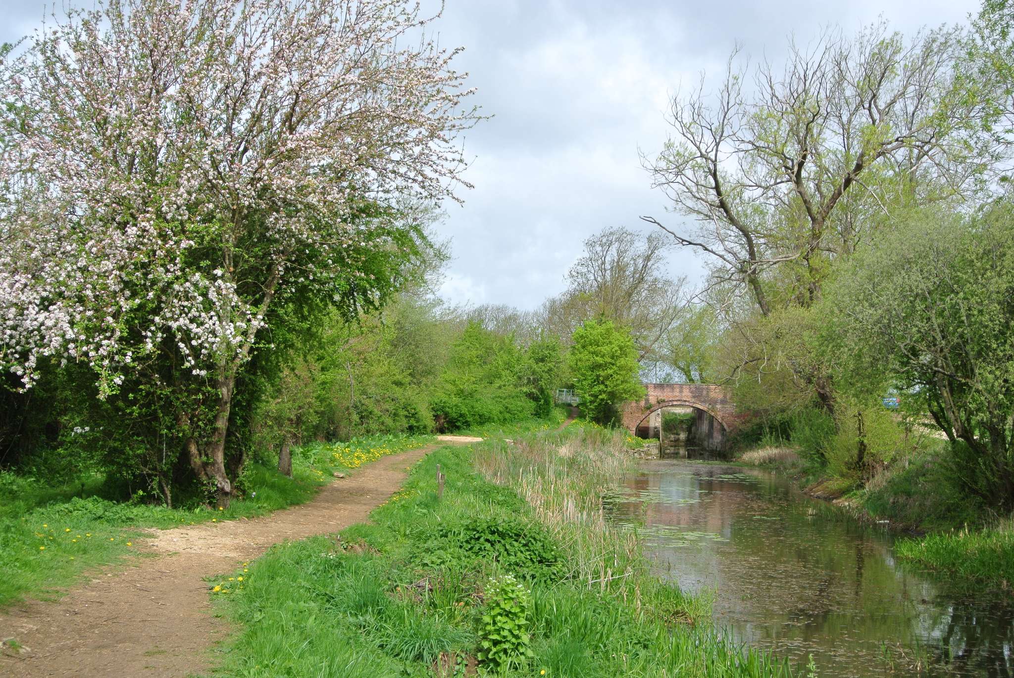 Top 10 Bike Rides and Cycling Routes around Cotswold | Komoot