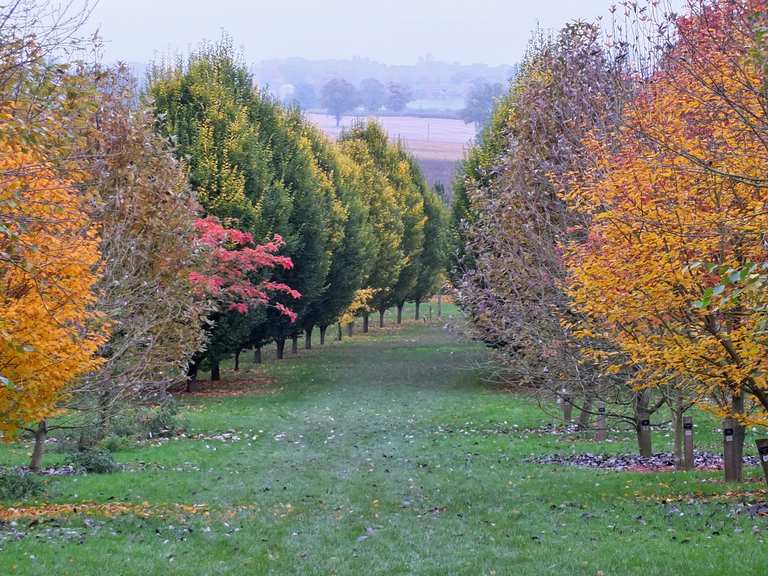 Top 10 Hikes and Walks around Wyre Forest | Komoot