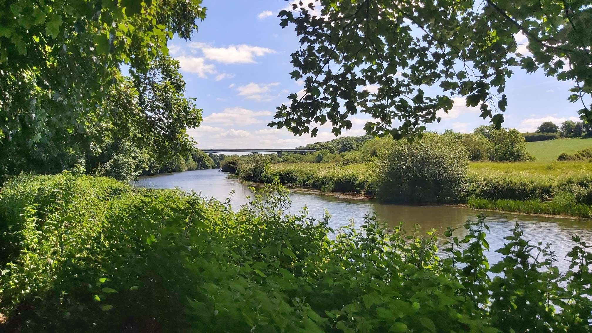 Top 10 Hikes and Walks around Doncaster | Komoot