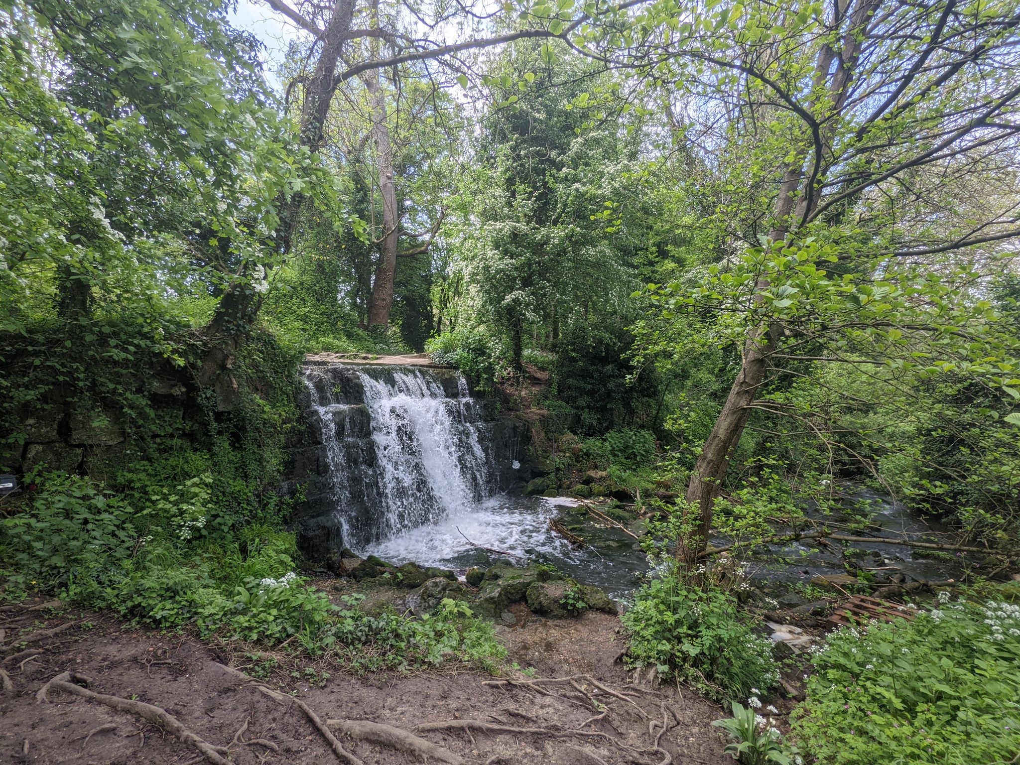 Top 10 Hikes and Walks around Rotherham | Komoot
