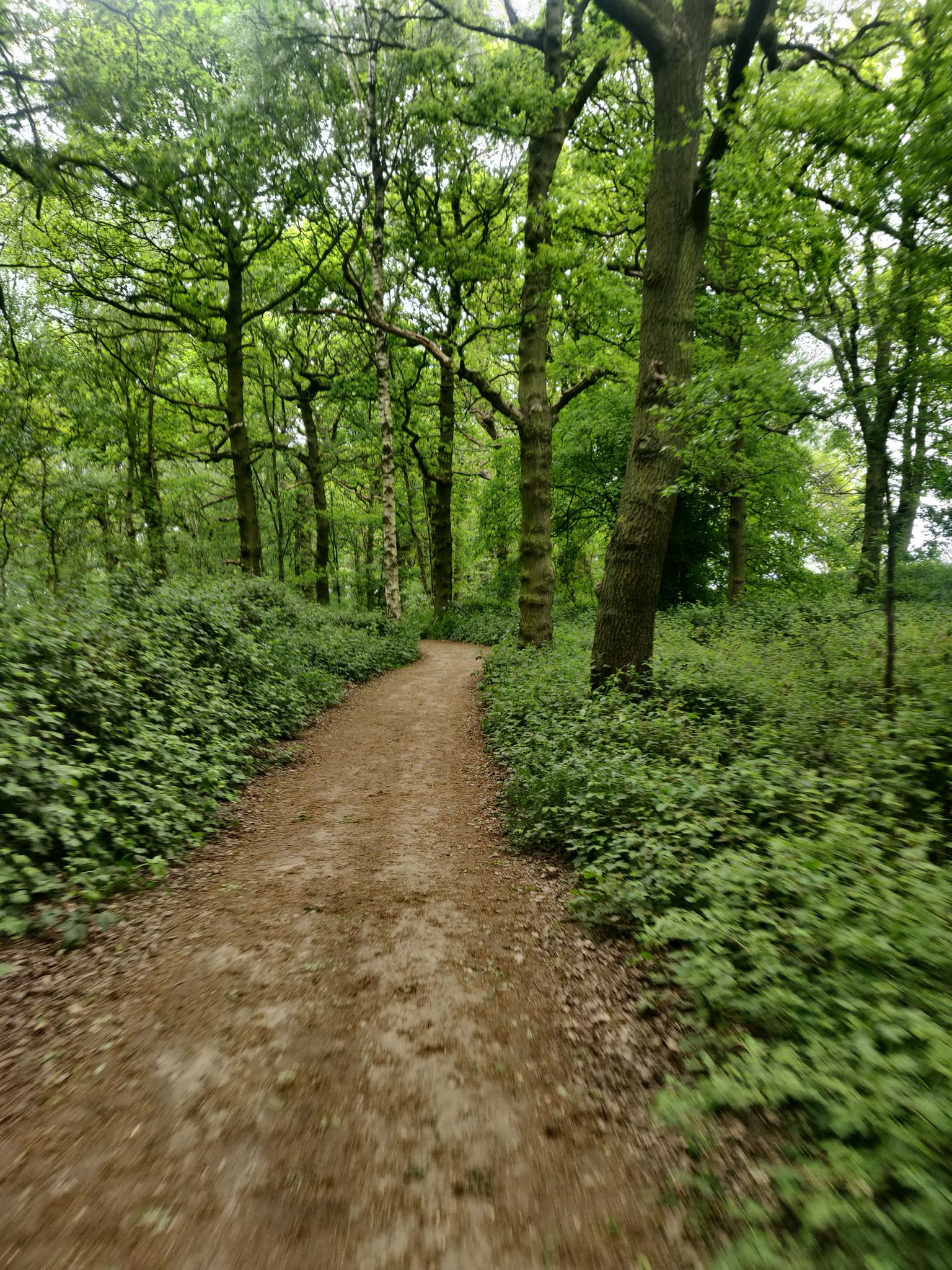 Top 10 Bike Rides and Cycling Routes around Leeds | Komoot