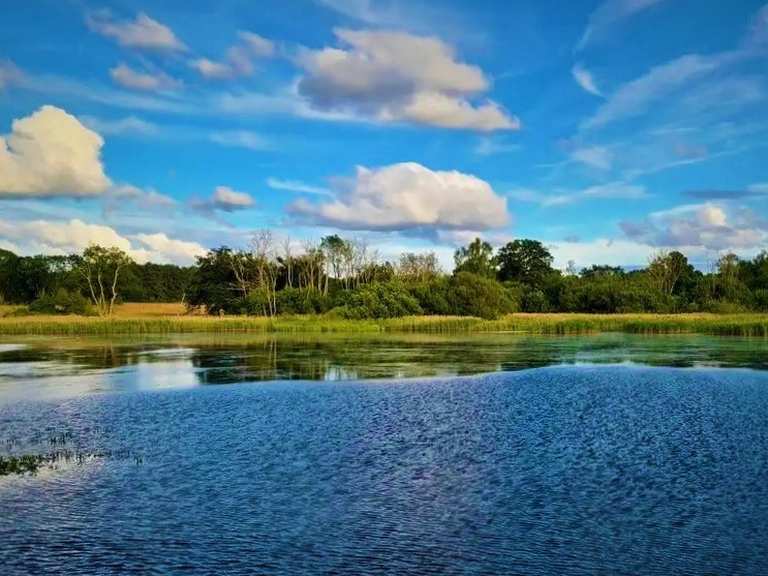 Top 10 Hikes and Walks in the Breckland District | Komoot