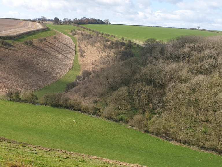 Die 8 schönsten Laufstrecken rund um Fridaythorpe 🏃 | Komoot