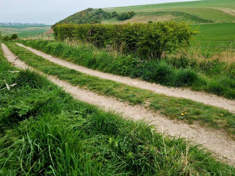 Top 9 Hikes and Walks around Wold Newton | Komoot