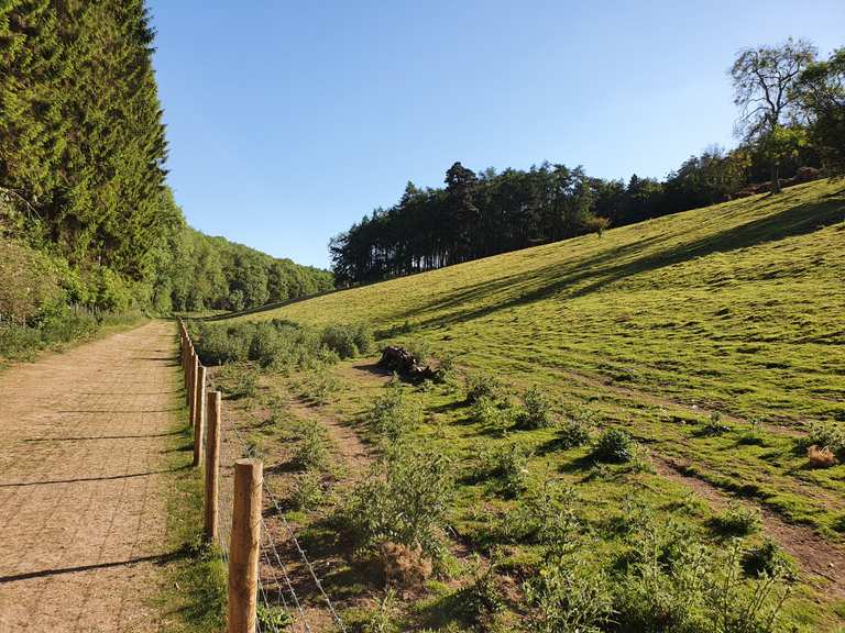 Le 10 escursioni e trekking migliori nei dintorni di Kirk Ella | komoot