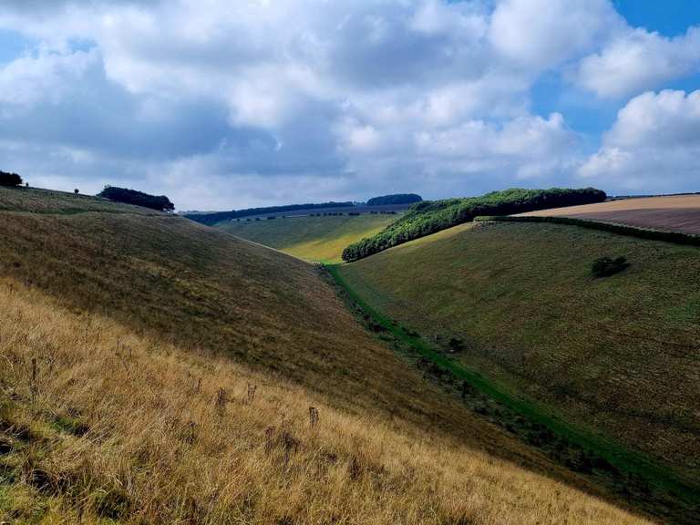 Top 8 Hikes and Walks around Wetwang | Komoot