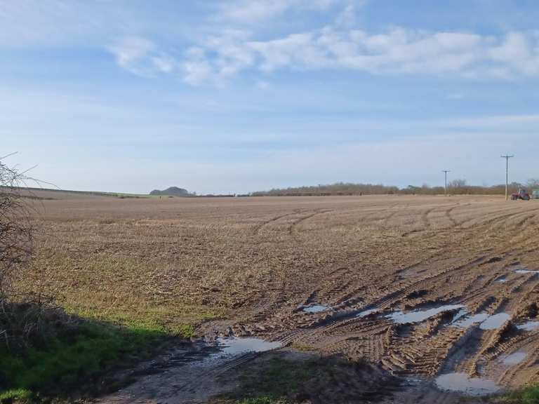 Top 10 Hikes and Walks around Kirkburn | Komoot