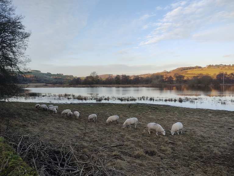 Top 10 Hikes and Walks around Belper | Komoot