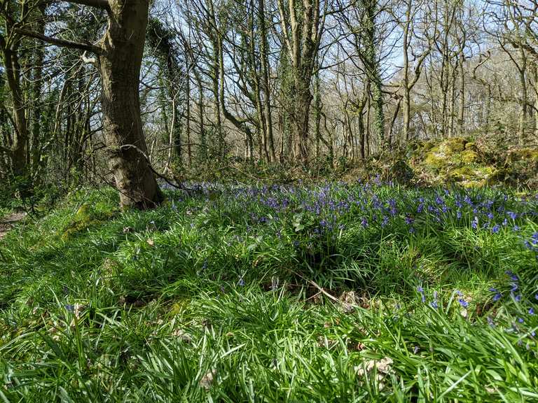 Top 10 Hikes and Walks around Crich | Komoot