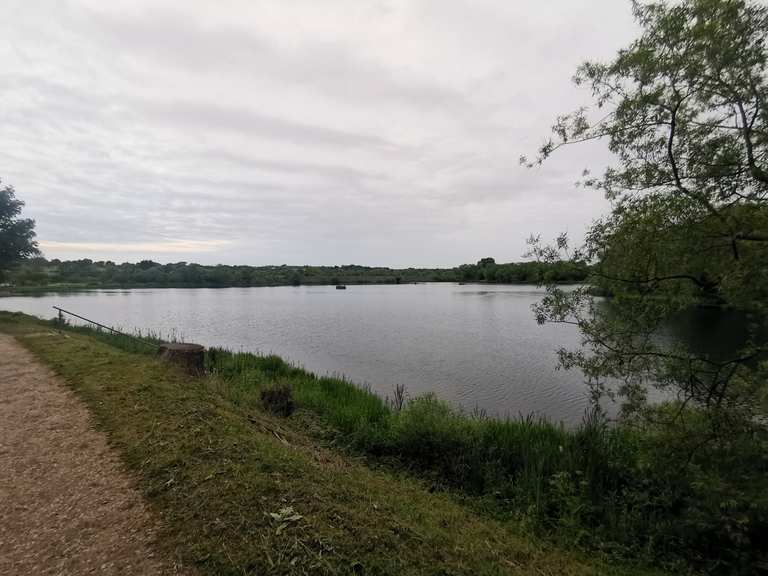 De 11 mooiste wandelroutes rond Pentrich | Komoot