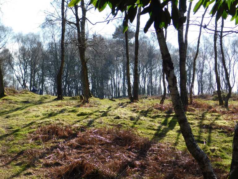 Top 10 Hikes and Walks around Ashover | Komoot