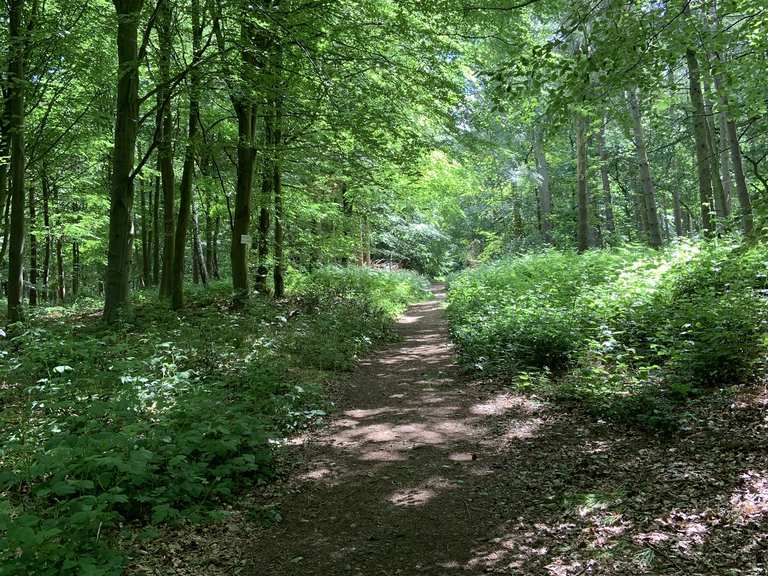 Top 7 Hikes and Walks around Burnaston | Komoot