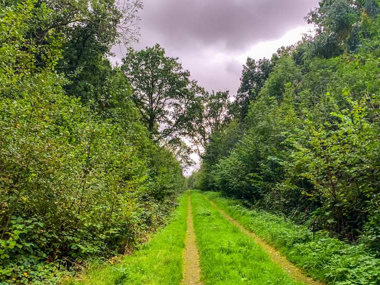 Die 19 schönsten Fahrradtouren rund um Hoveringham | Komoot