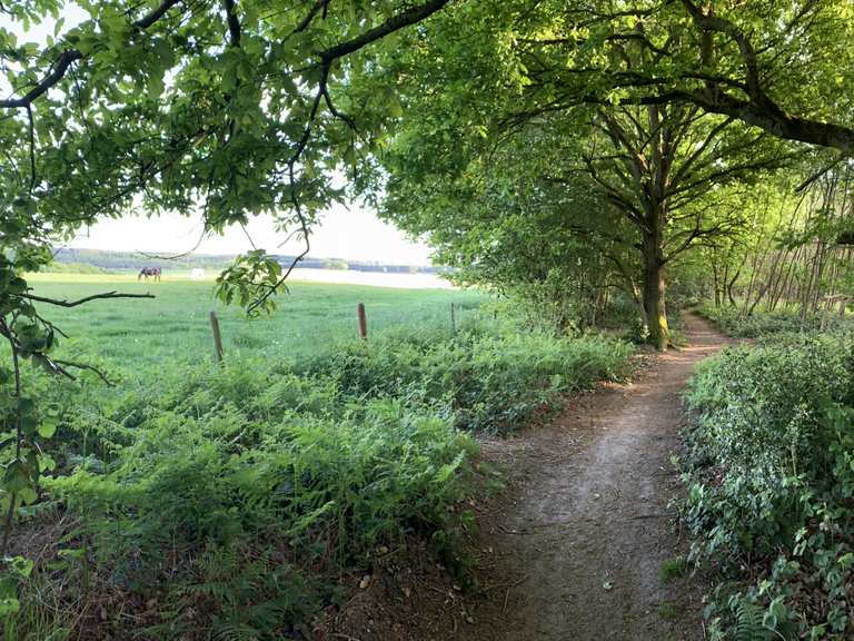 Top 10 Hikes and Walks around Rufford | Komoot