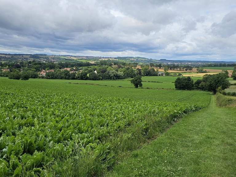 Top 8 Hikes and Walks around Epperstone | Komoot