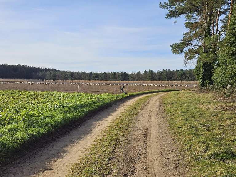 Top 10 Hikes and Walks around Ashill | Komoot