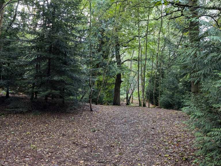 Attractions and Places To See around Dersingham - Top 20 | Komoot