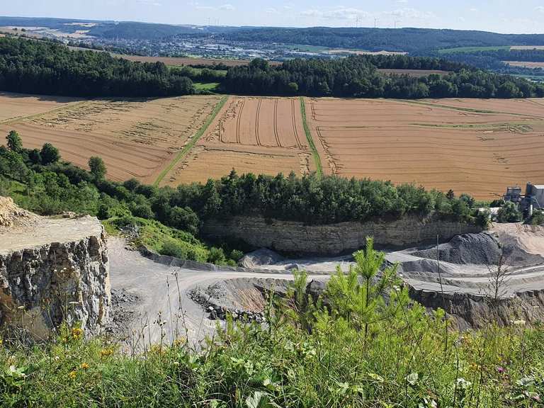 Die 10 schönsten Wanderungen rund um Werbach | Komoot