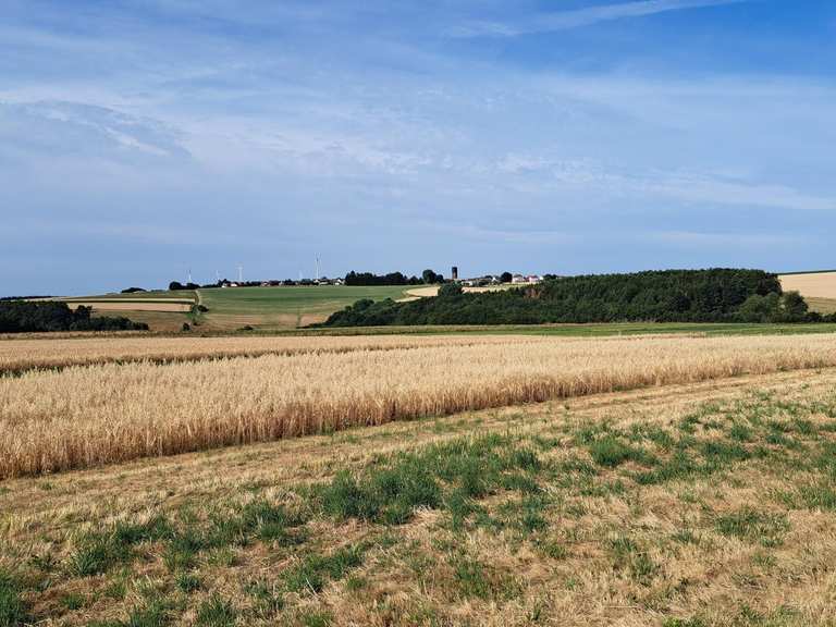 Top 10 Hikes and Walks around Weselberg | Komoot