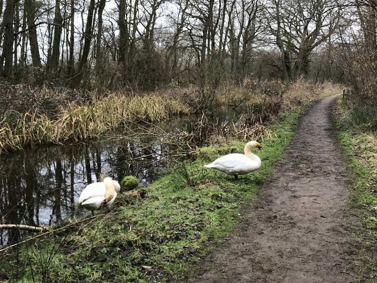 Top 10 Hikes and Walks around Poringland | Komoot