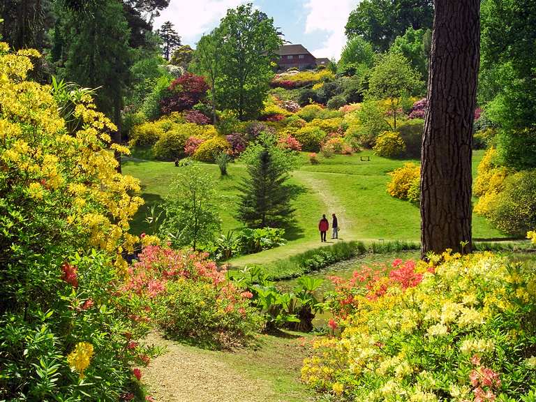 Top 10 Hikes And Walks In West Sussex Komoot