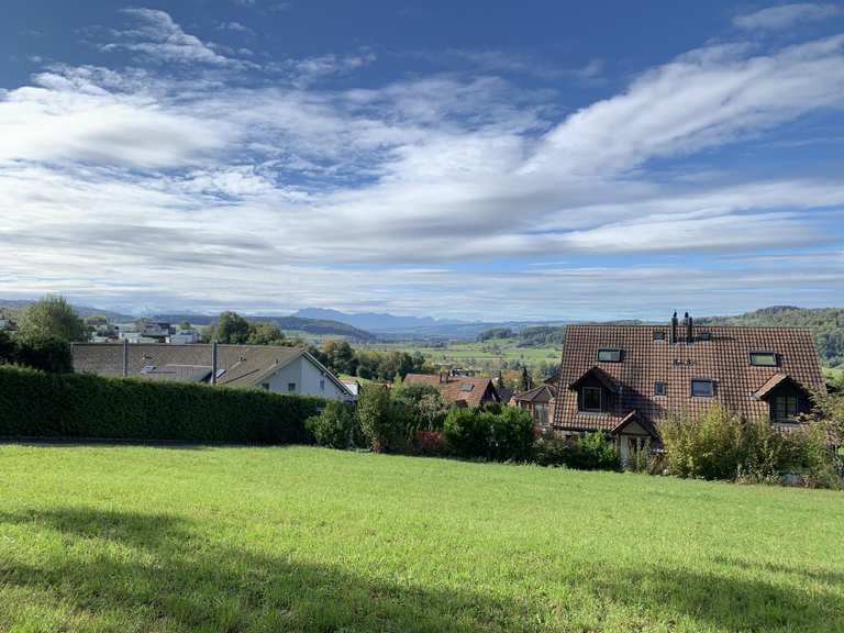 Die 10 schönsten Wanderungen rund um Wettswil am Albis | Komoot