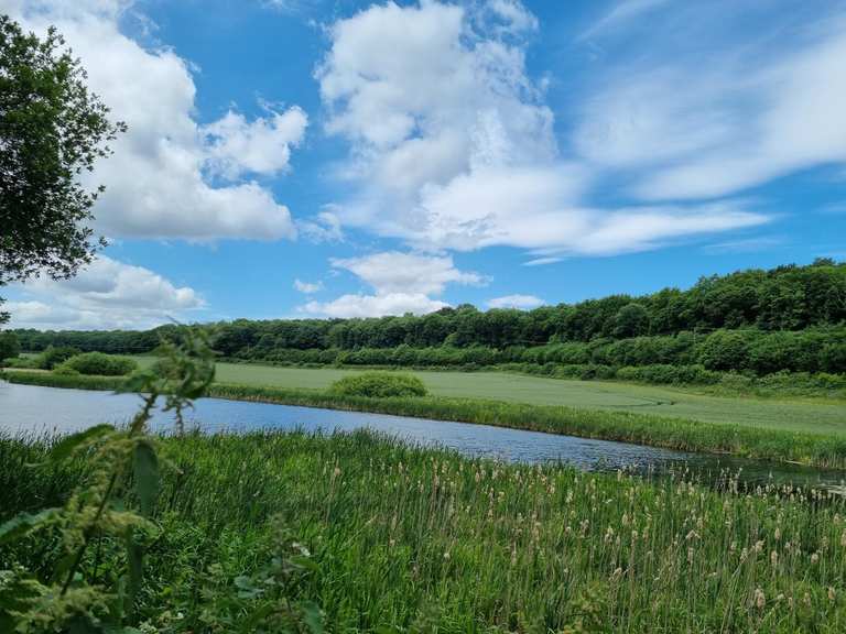 Top 10 Hikes and Walks around Sprotbrough And Cusworth | Komoot