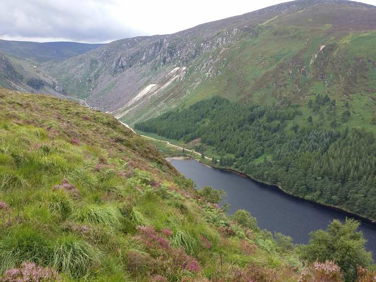 Top 10 Hikes and Walks in the Wicklow Mountains National Park | Komoot