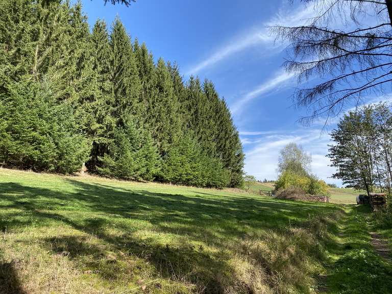 Die 10 schönsten Wanderungen im Frankenwald | Komoot