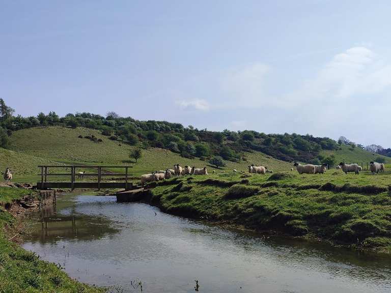 Top 10 Hikes and Walks around Rippingale | Komoot