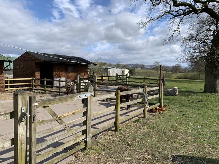 Top 10 Hikes and Walks around North Rode | Komoot