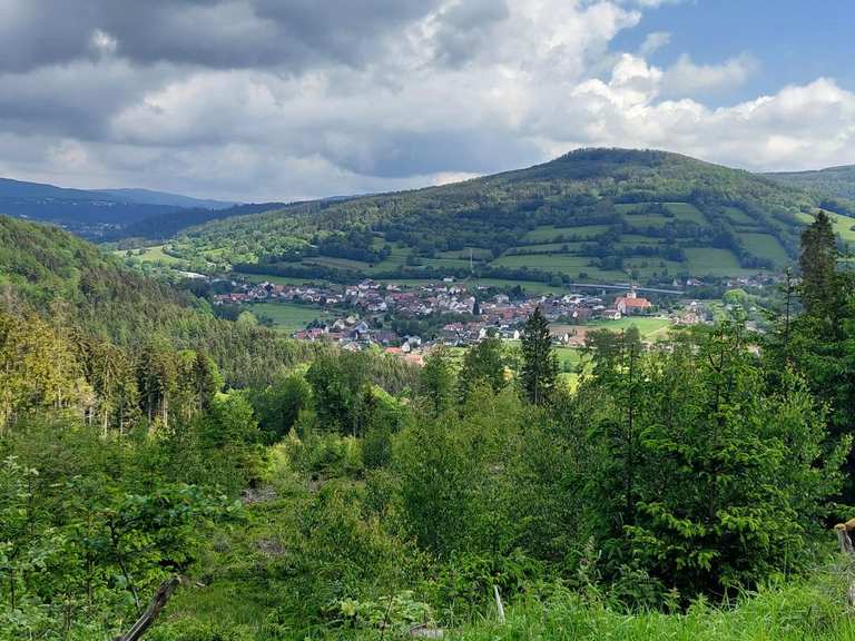 Die 10 schönsten Wanderungen rund um Wildflecken | Komoot