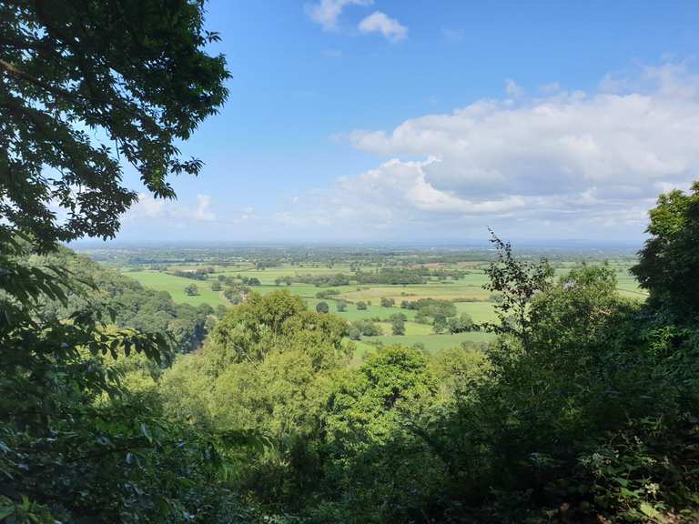 Die 5 schönsten Wanderungen rund um Calveley | Komoot