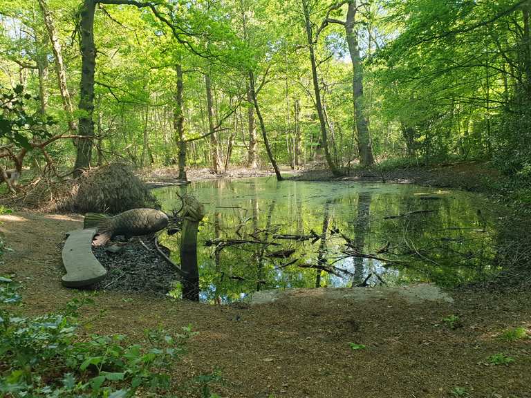 Le 5 escursioni e trekking migliori nei dintorni di Little Bollington ...