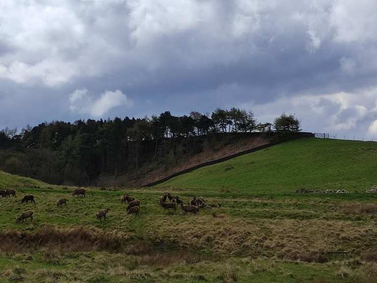 Attractions and Places To See around Wilmslow - Top 20 | Komoot
