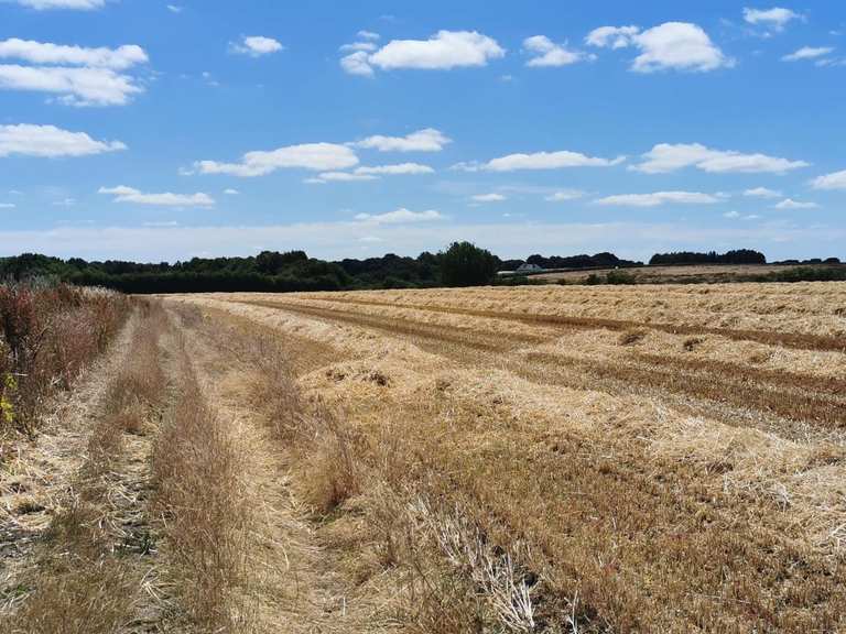 Top 10 Hikes and Walks around Culcheth And Glazebury | Komoot
