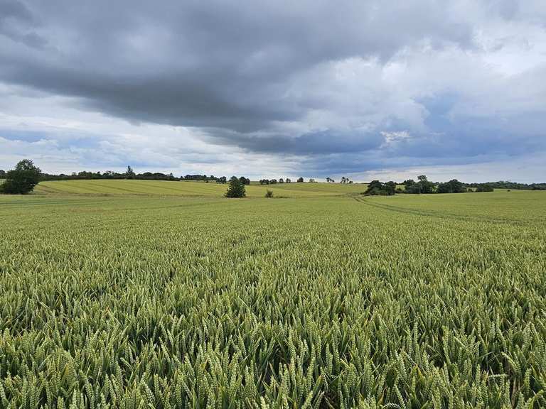 Top 10 Hikes and Walks around Knapwell | Komoot