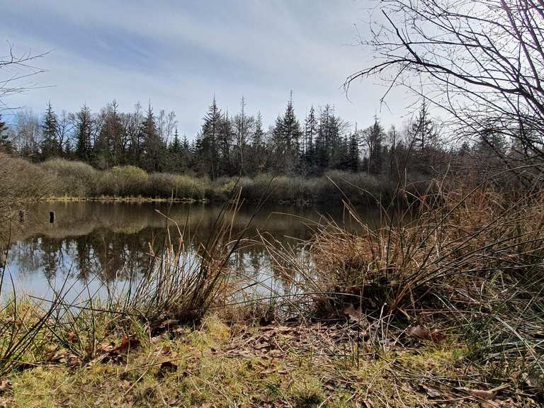 Die 10 schönsten Wanderungen rund um Wittenborn | Komoot