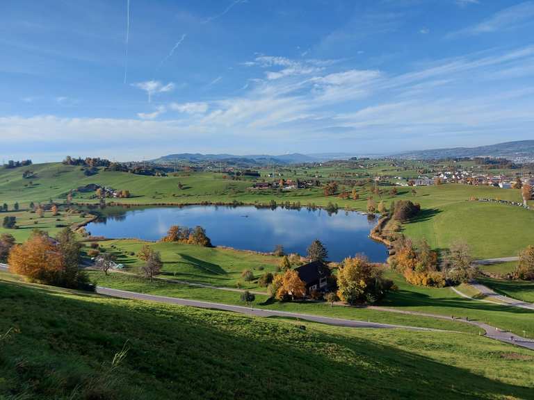 Die 10 schönsten Wanderungen rund um Wollerau | Komoot
